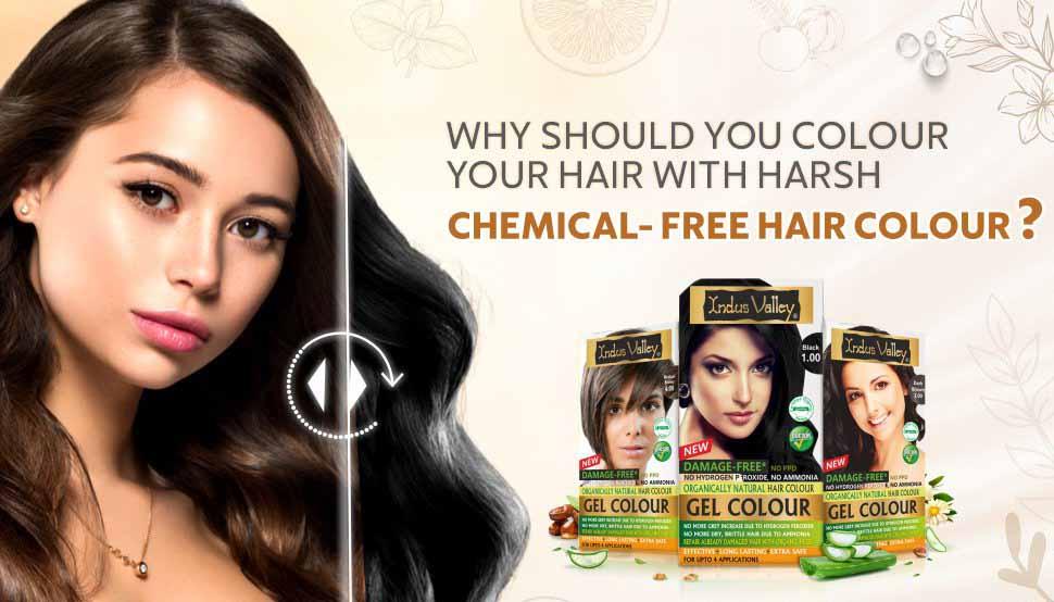 Why Should You Colour Your Hair with Harsh Chemical Free Hair Colour ...