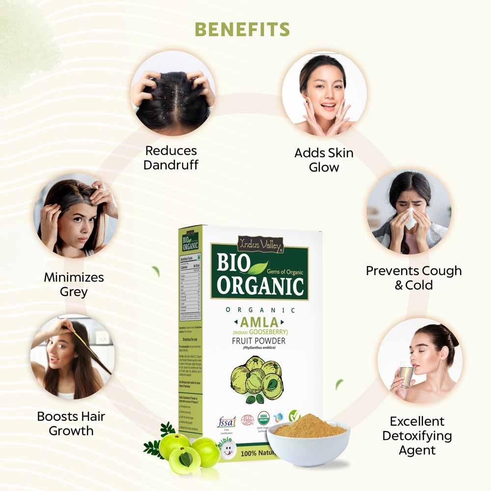 Bio-Organic Amla Fruit Powder – Indus Valley